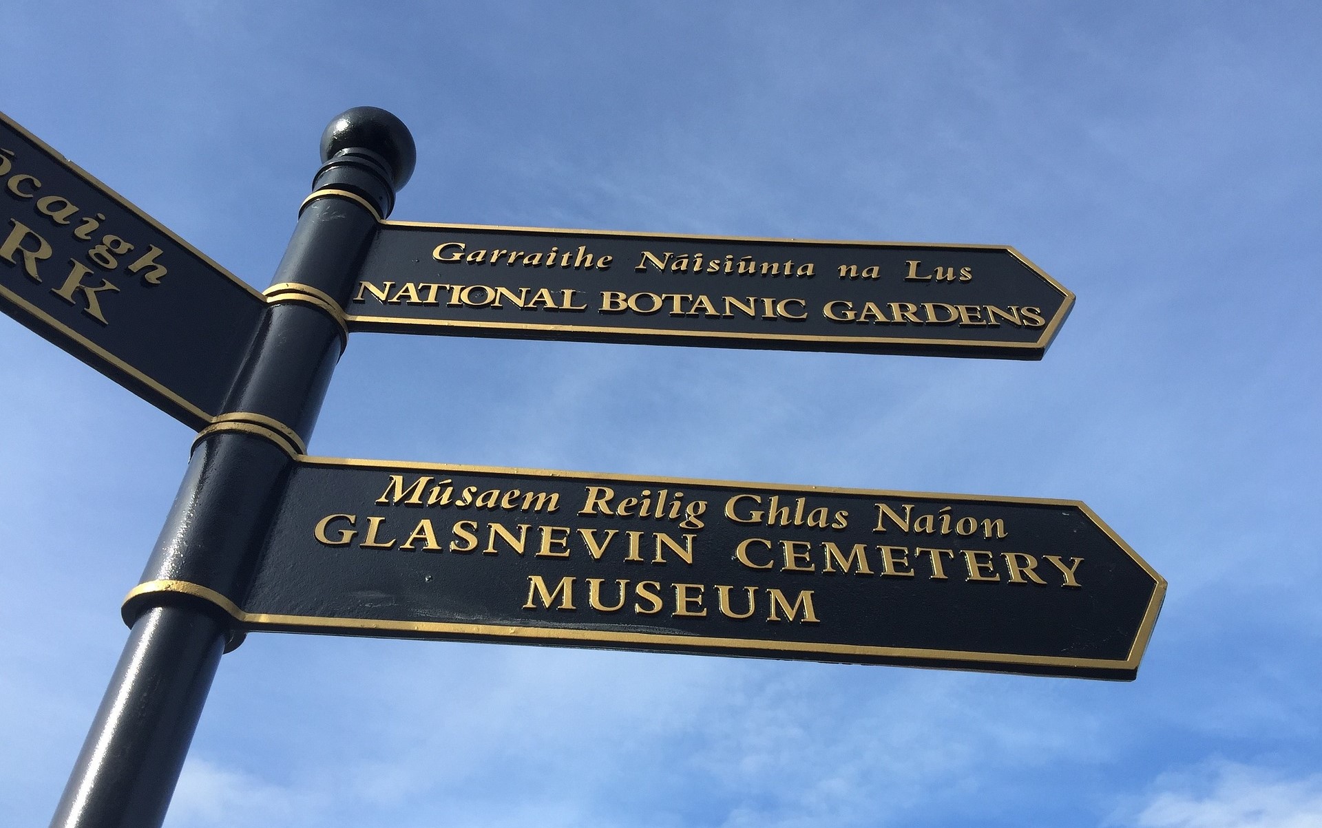 The 9 Best Apps to Learn Irish in a Flash